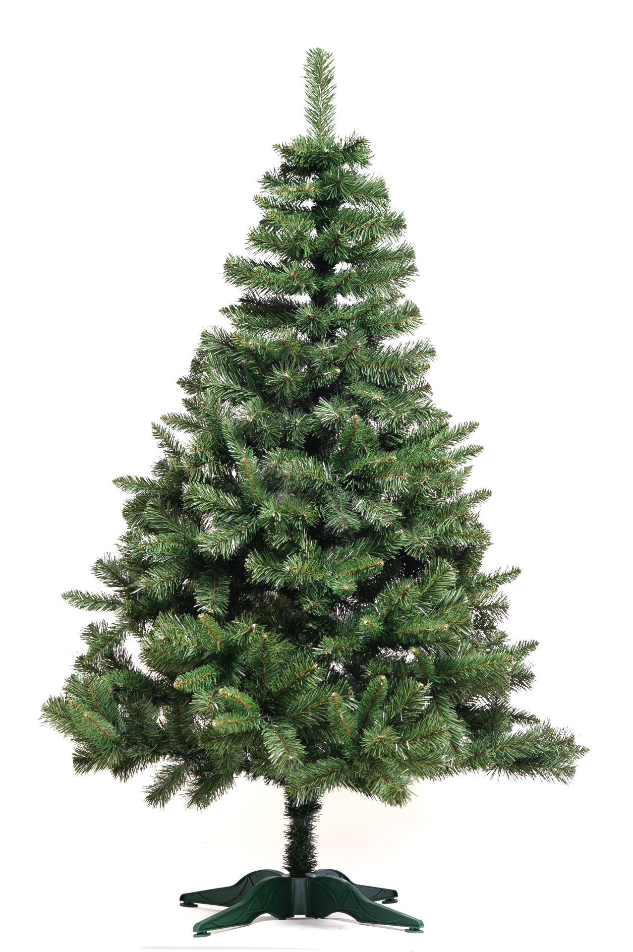 Evergreen - 250 cm